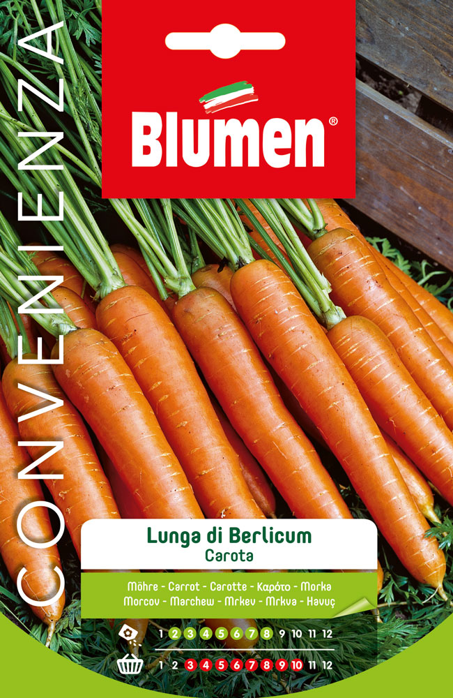 Carota Lunga Di Berlicum - Blumen