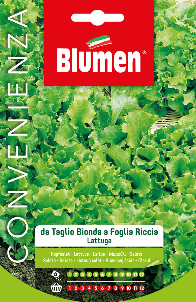 Lattuga Bionda Riccia Da Taglio - Blumen