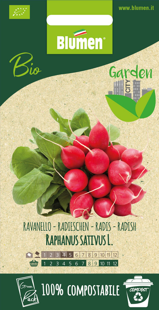 Ravanello Rosso - Blumen