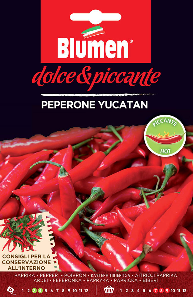 Peperoncino Yucatan - Blumen