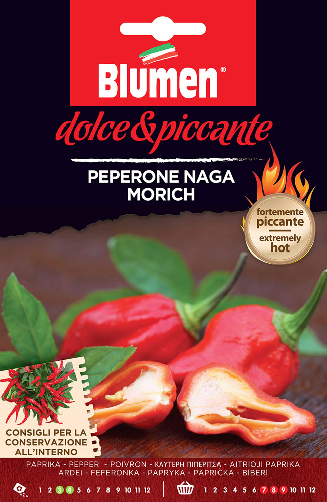 Peperoncino Naga Morich - Blumen