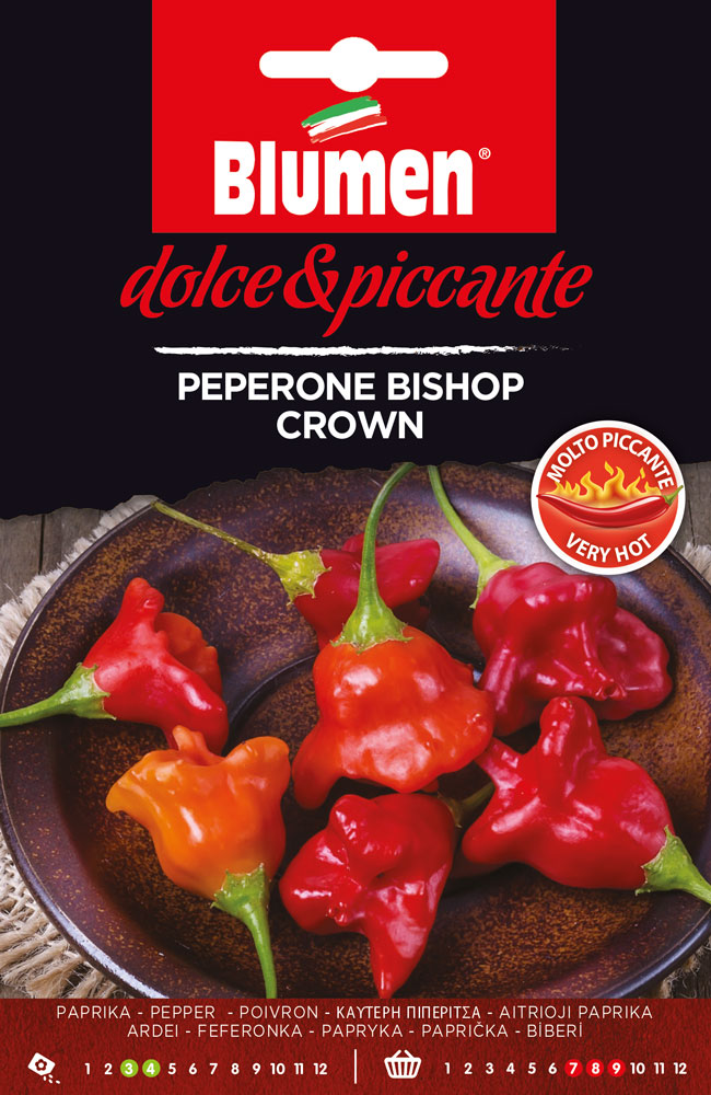 Peperoncino Bishop Crown - Blumen