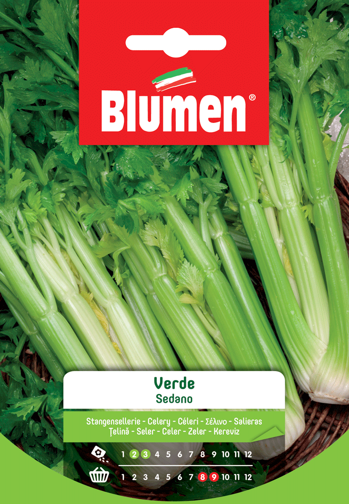 Sedano Verde - Blumen