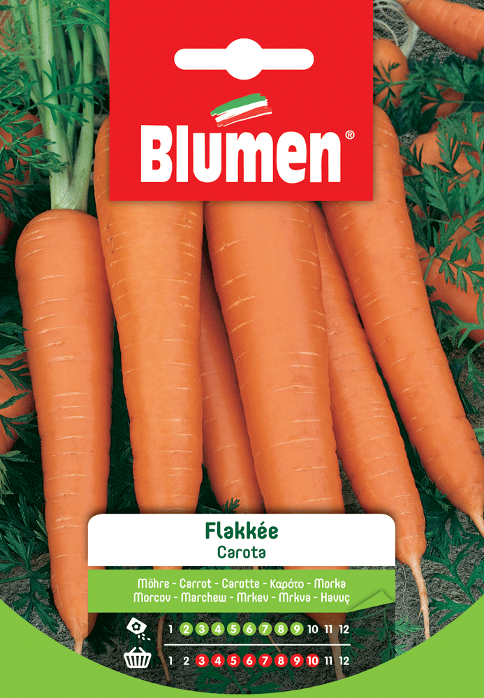 Carota Flakkèe - Blumen