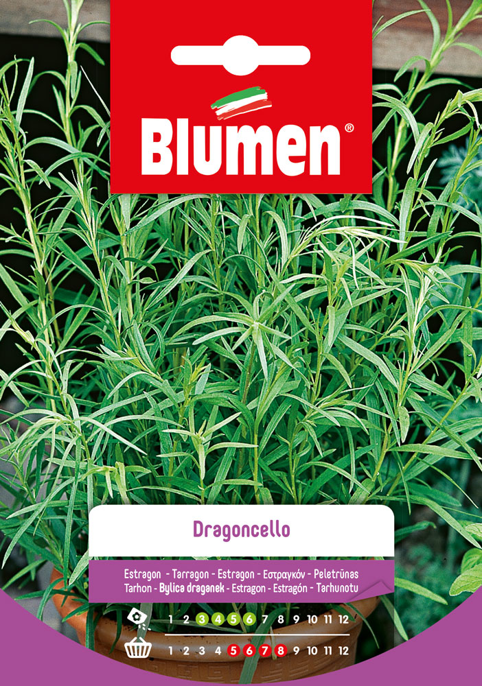 Dragoncello - Blumen