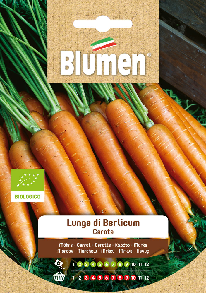 Carota Lunga Di Berlicum - Blumen