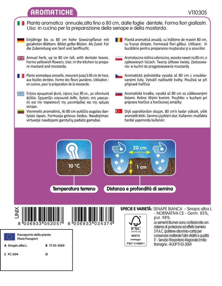 Senape Bianca - Blumen