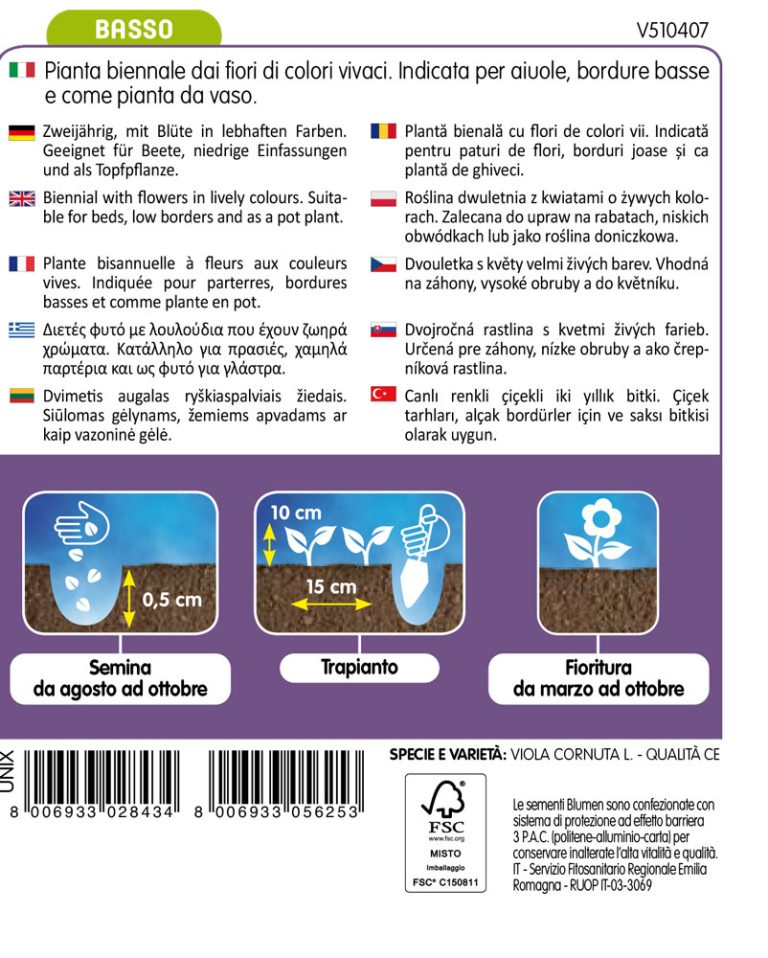 Viola King Henry A Piccoli Fiori - Blumen