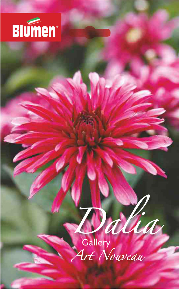 Dalia Gallery Art Nouveau - Blumen