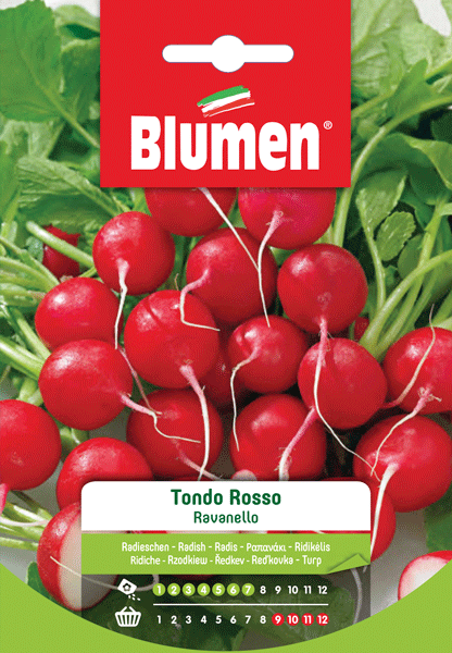 Ravanello Tondo Rosso - Blumen