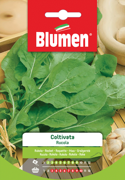 Rucola Coltivata - Blumen