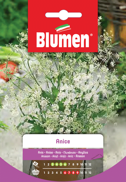 Anice - Blumen